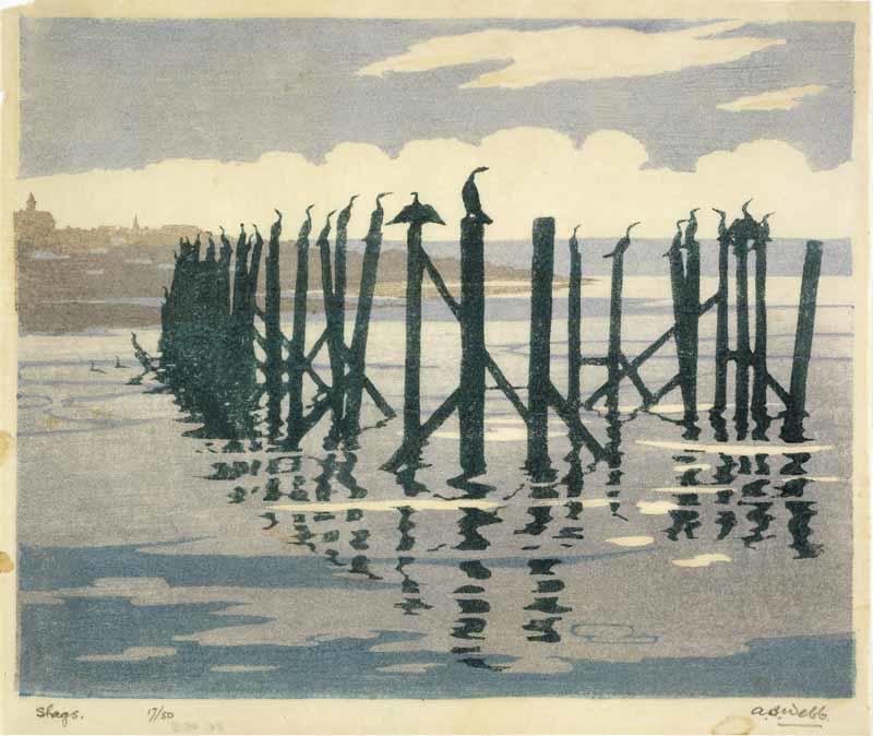 Shags - Art Gallery WA